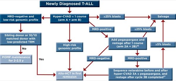 How I Manage: T-Cell ALL in Adults and Adolescents and Young Adults ...