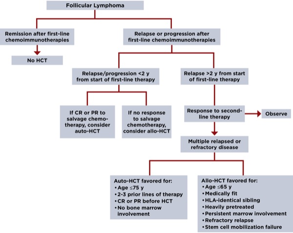 Mehdi Hamadani, MD: How I Manage HCT in FL - Clinical Oncology News