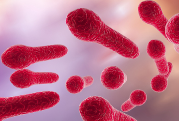 Older Adults With Cancer at High Risk for C. diff Infection