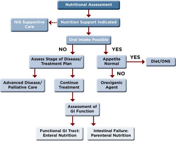 Improving Nutrition Status in Cancer Patients
