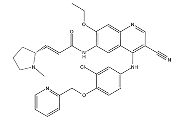 Pyrotinib Plus Chemotherapy May Improve Outcomes in Patients With ...