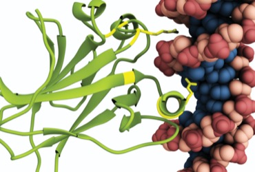 Simple Web-Based Tool Identifies Cancer Susceptibility Genes in 16% of ...