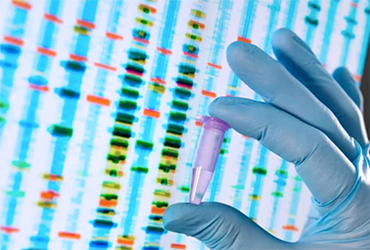 Breast Cancer Population-Based Genetic Testing Versus Guideline-Based ...