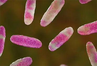 Clinical Oncology News